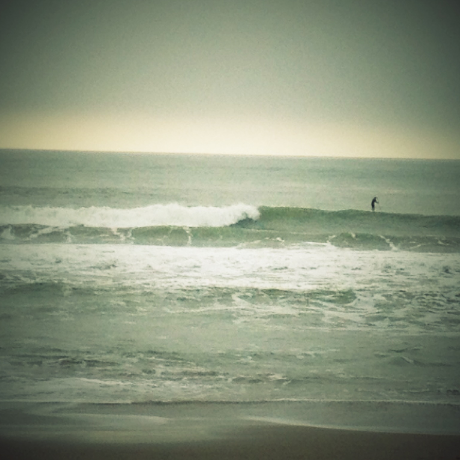 Fat lip – Learning to Surf