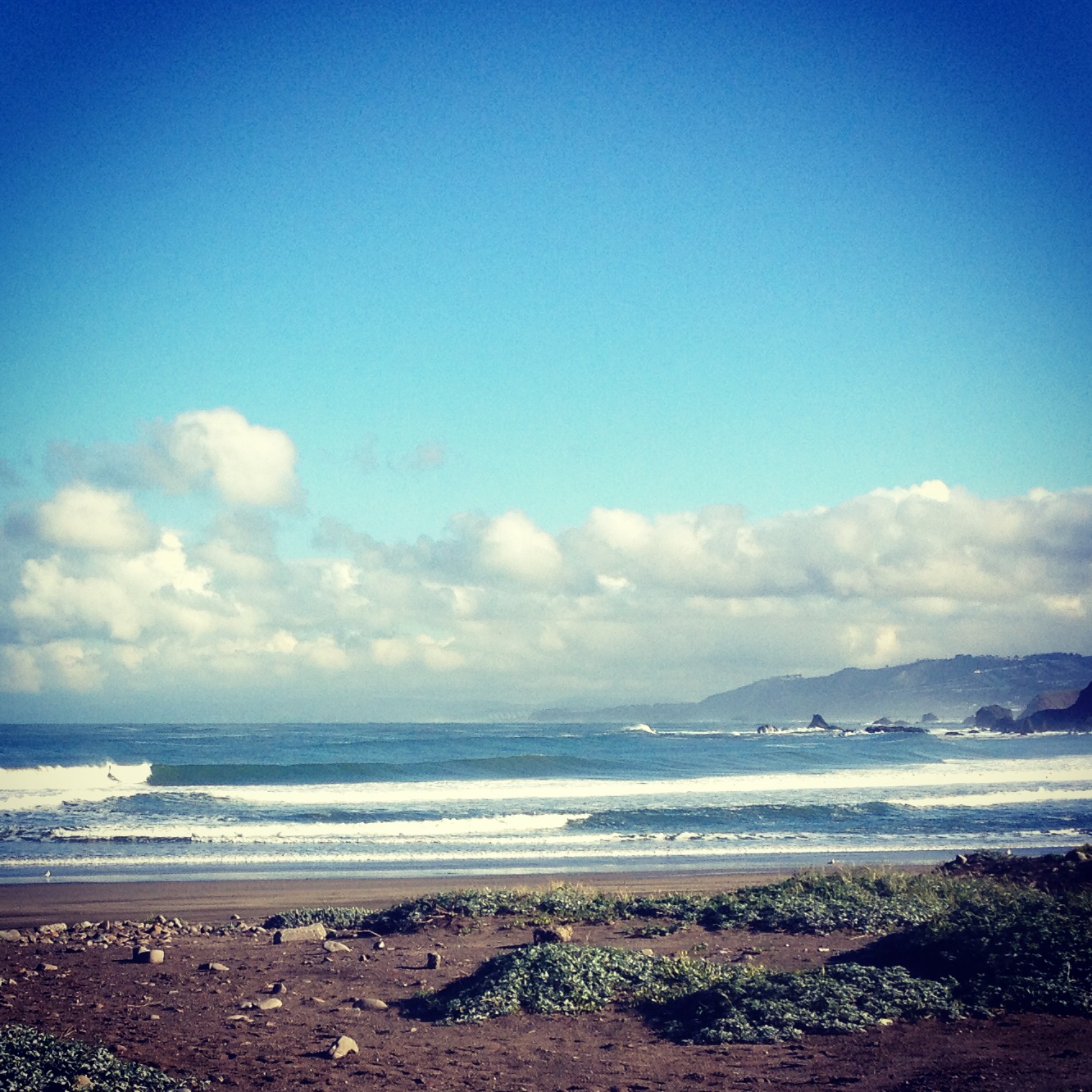 Sewage – Learning to Surf