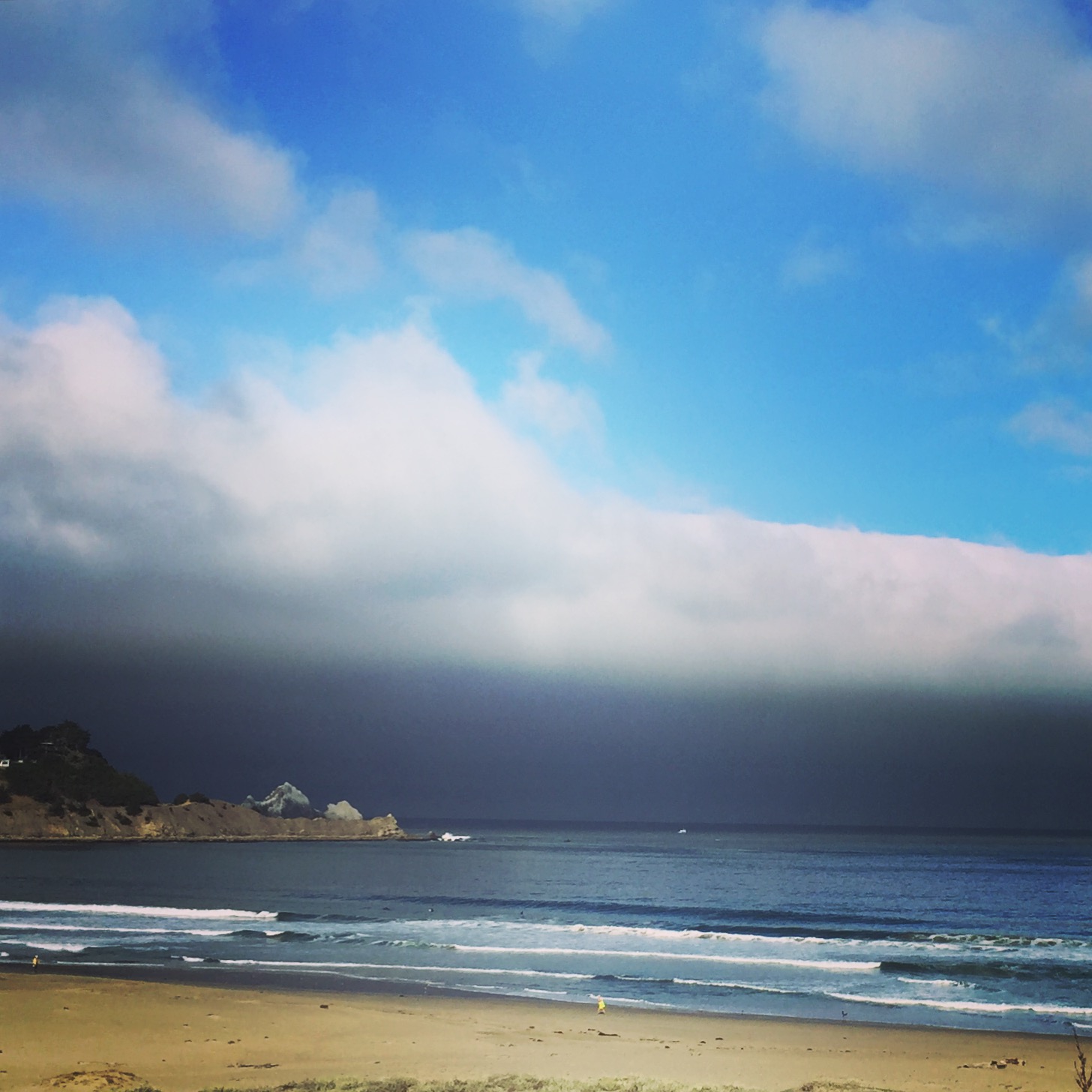 Fish Whomp – Learning to Surf